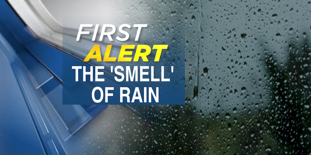Can your sense of smell actually predict oncoming rain? Can your sense of smell actually predict oncoming rain?